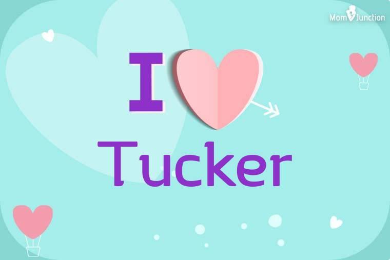 Tucker Name Meaning, Origin, And Popularity: Complete Guide