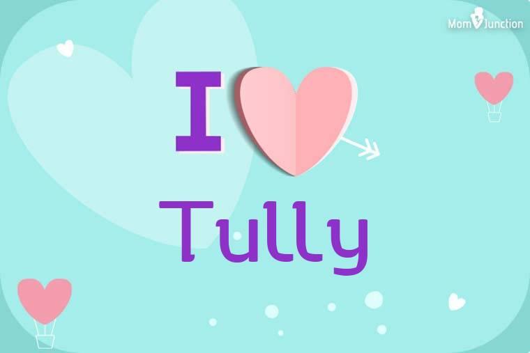 Explore Tully: Meaning, Origin & Popularity