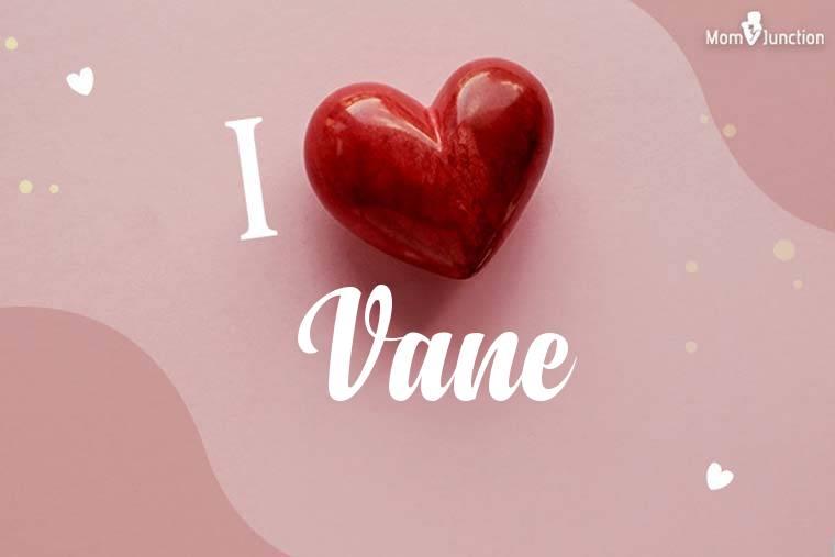 Explore Vane: Meaning, Origin & Popularity