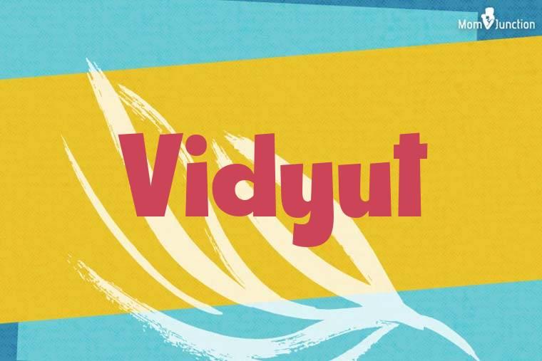 Explore Vidyut Name Meaning: Origin, Pronunciation, and Popularity ...