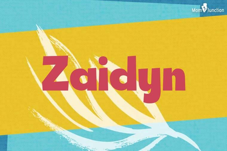 Explore Zaidyn: Meaning, Origin & Popularity