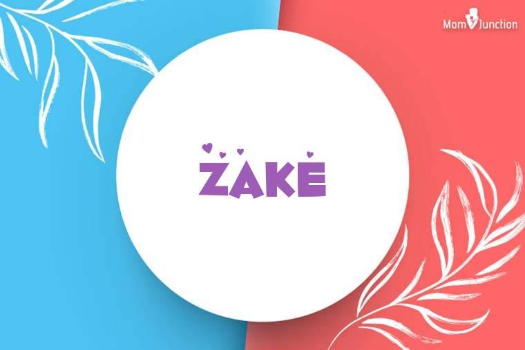 Explore Zake: Meaning, Origin & Popularity