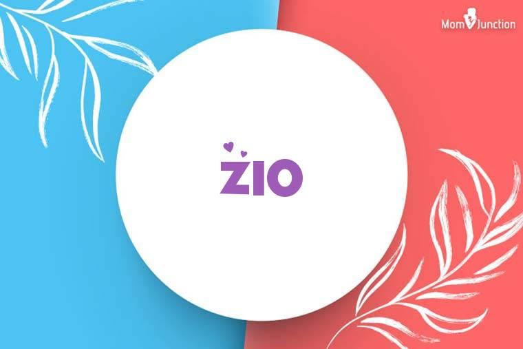 Zio Name Meaning, Origin, History, And Popularity | MomJunction
