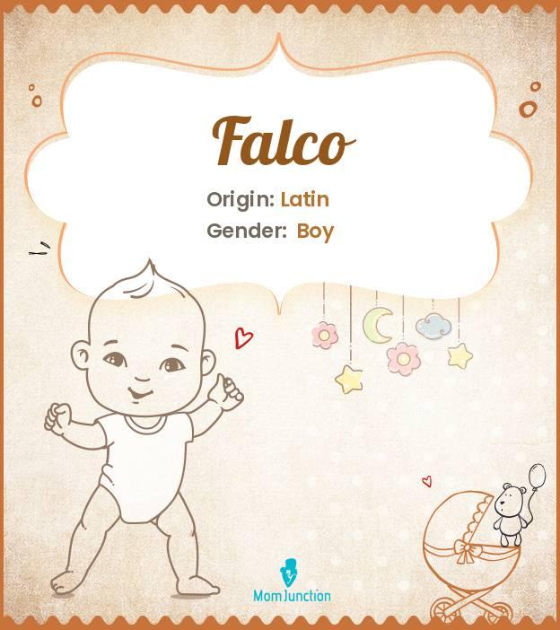 Falco Name Meaning, Origin, History, And Popularity