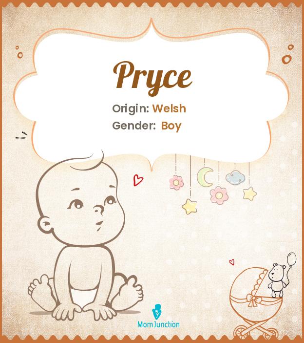 Pryce Name Meaning, Origin, History, And Popularity
