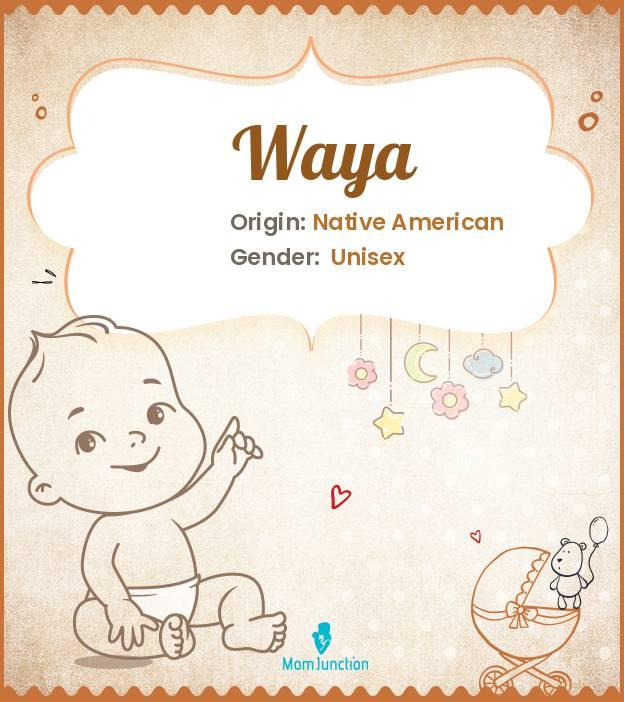 Waya Name Meaning Origin History And Popularity MomJunction