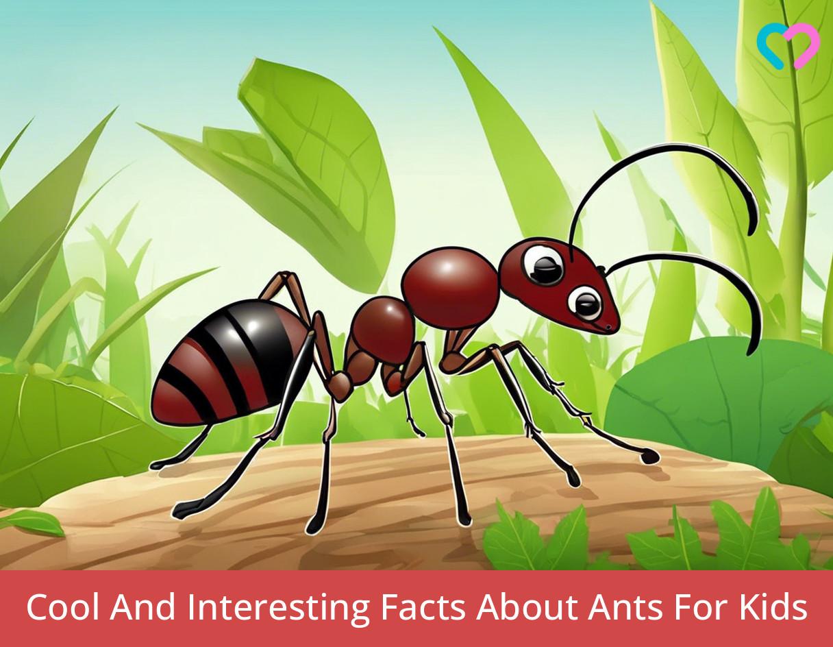 30 Cool And Interesting Facts About Ants For Kids | MomJunction